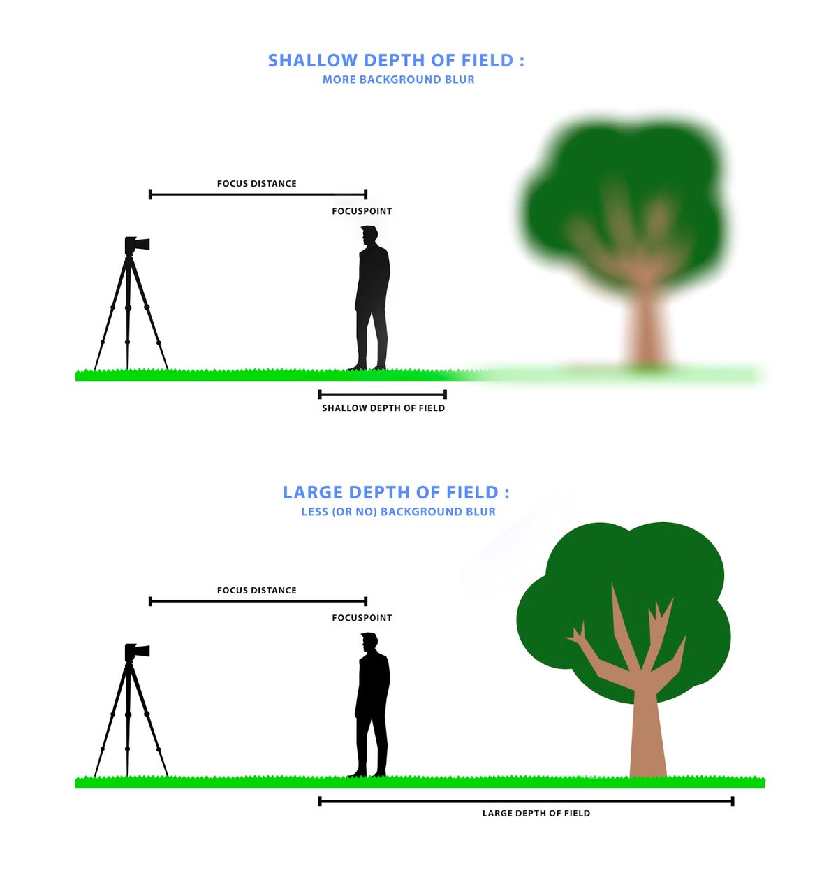 Depth of Field in Photography | Iceland Photo Tours