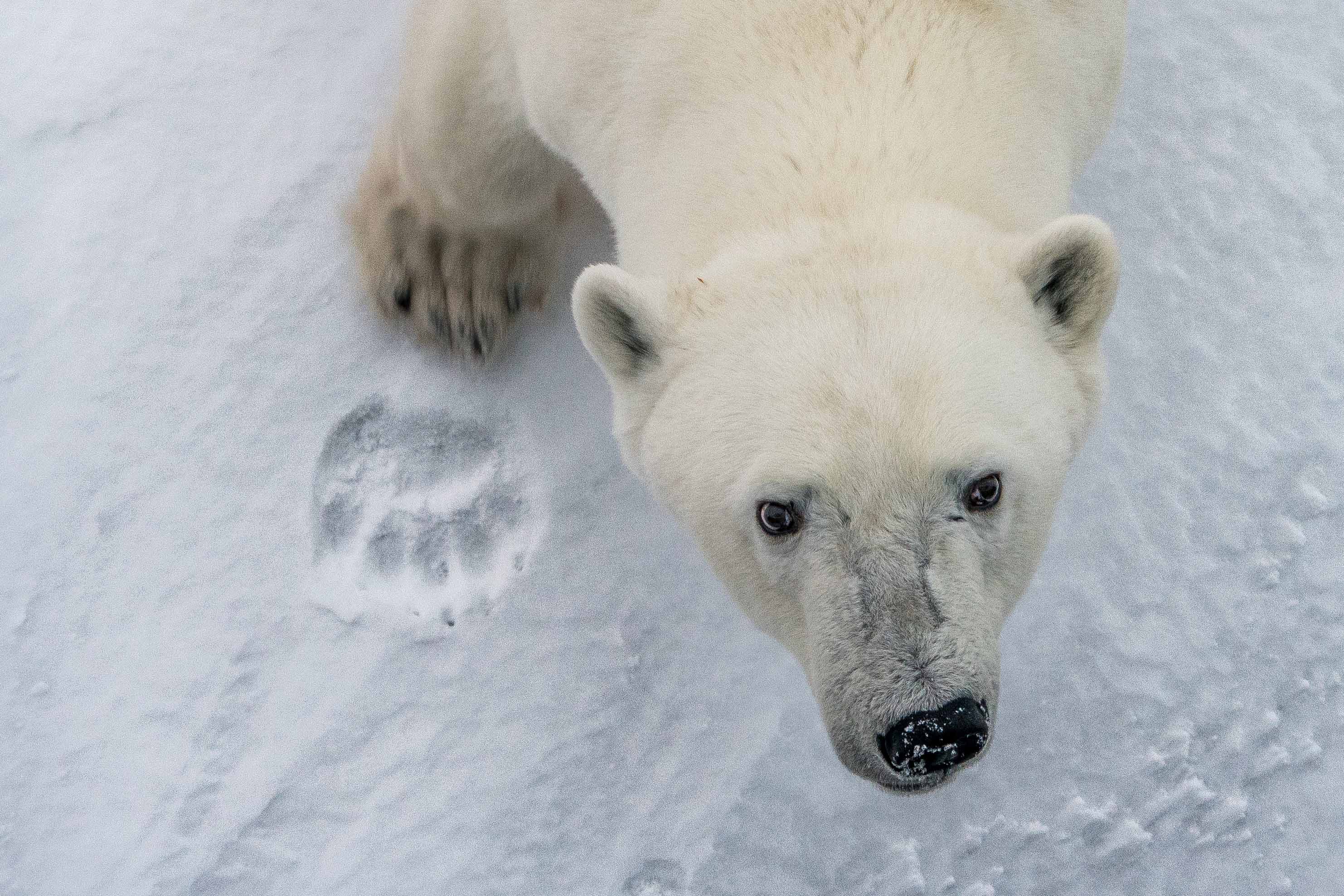 Interview with Gary Arndt | Iceland Photo Tours