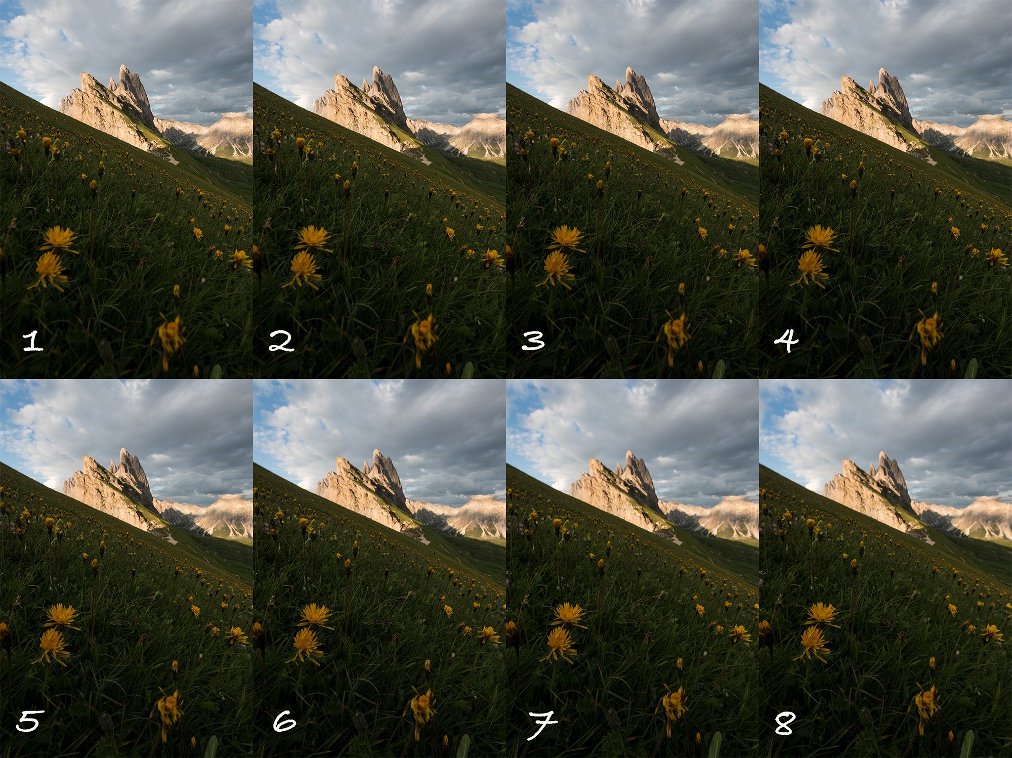 Ultimate Guide to Focus Stacking | Iceland Photo Tours