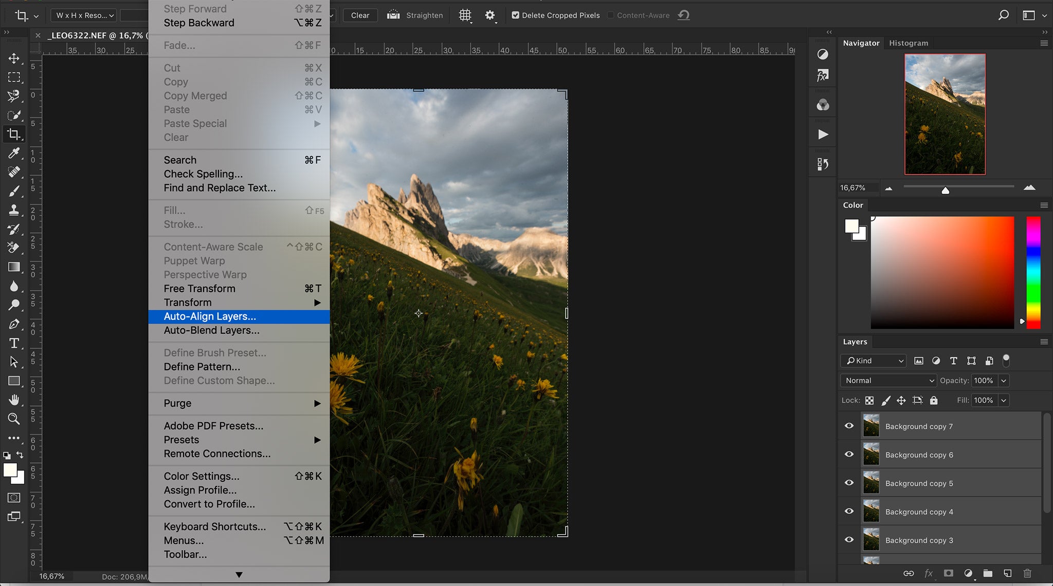 Ultimate Guide to Focus Stacking | Iceland Photo Tours