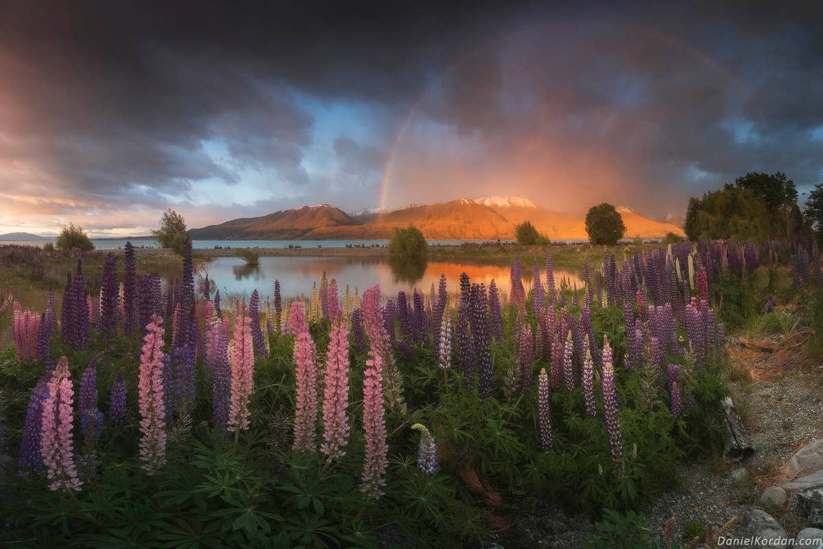 12 Day South Island New Zealand Photography Workshop - 5-16 December ...