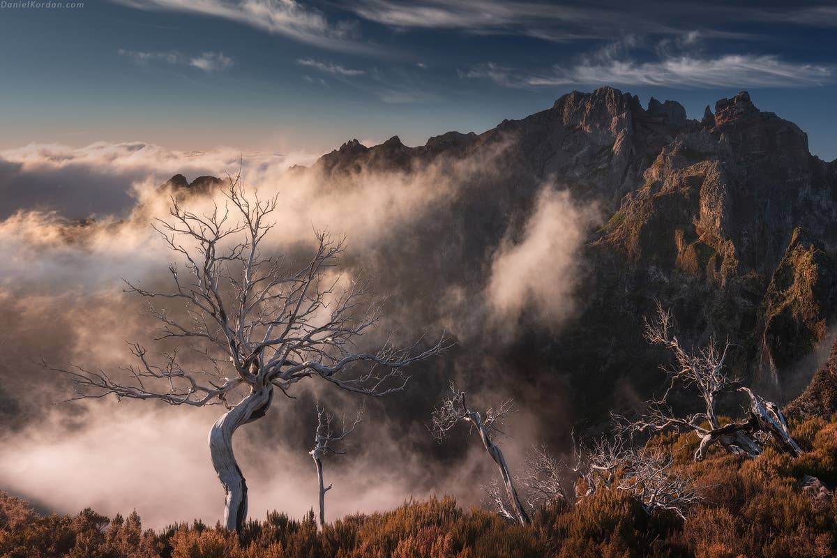 Madeira Photo Workshop: Discover the Island of Eternal Spring | Iceland ...