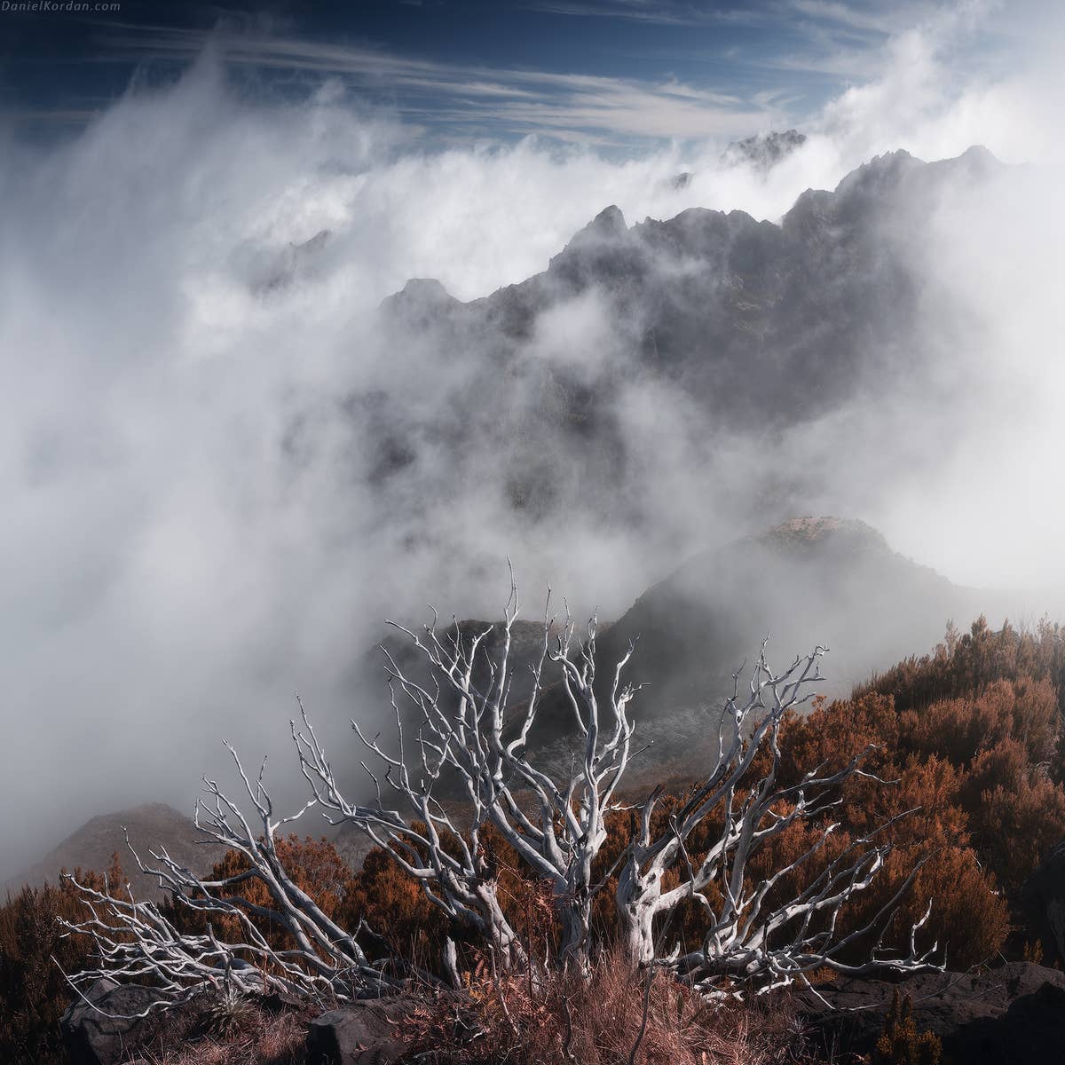 Madeira Photo Workshop: Discover the Island of Eternal Spring | Iceland ...