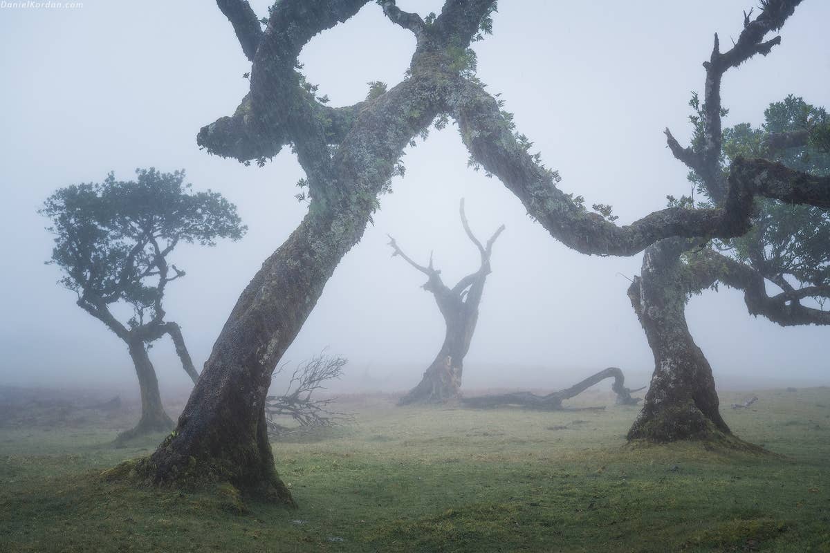 Madeira Photo Workshop: Discover the Island of Eternal Spring | Iceland ...