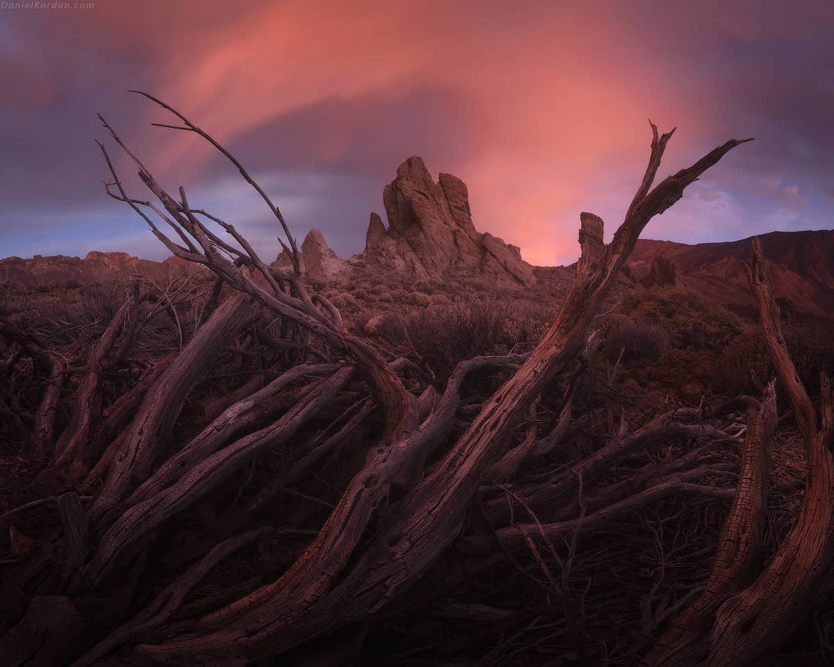 Madeira Photo Workshop: Discover the Island of Eternal Spring | Iceland ...