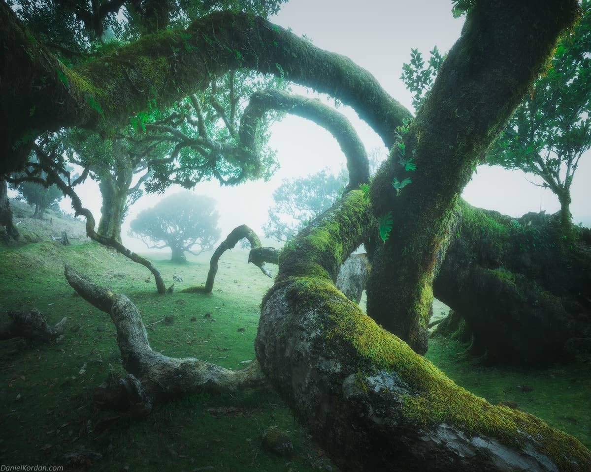 Madeira Photo Workshop: Discover the Island of Eternal Spring | Iceland ...